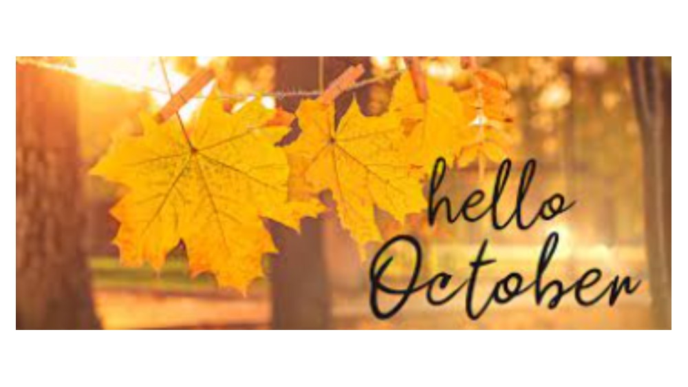 OCTOBER 2022 Volunteers Needed! | VOMO