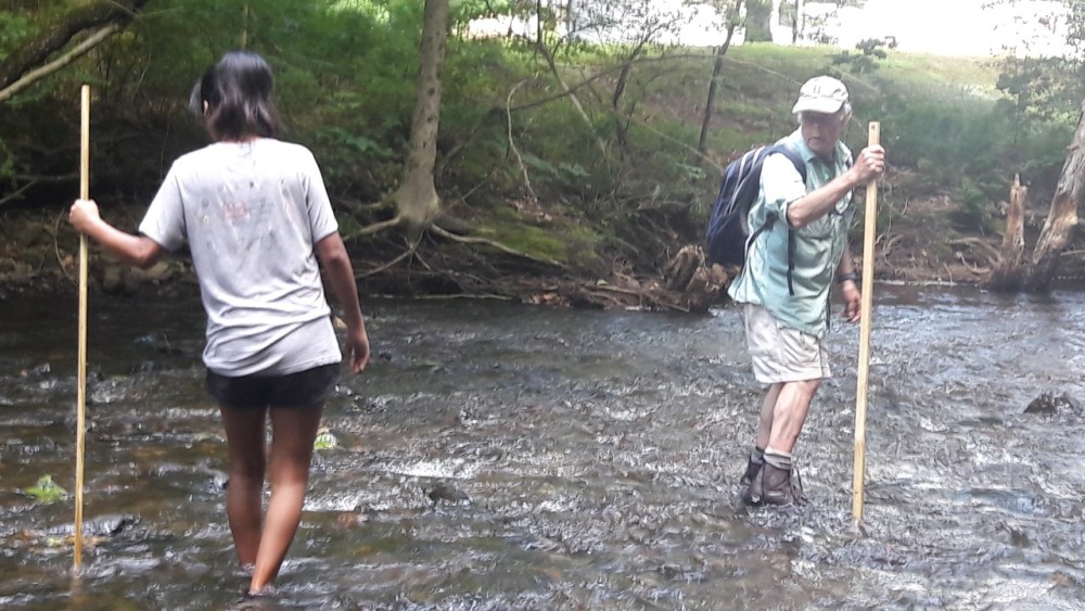 Sea Lamprey Nest Survey in Montague MA | VOMO