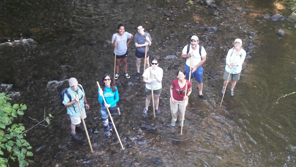 Sea Lamprey Nest Survey in Hinsdale NH | VOMO