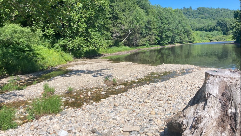 Sea Lamprey Nest Survey in Westmoreland NH | VOMO