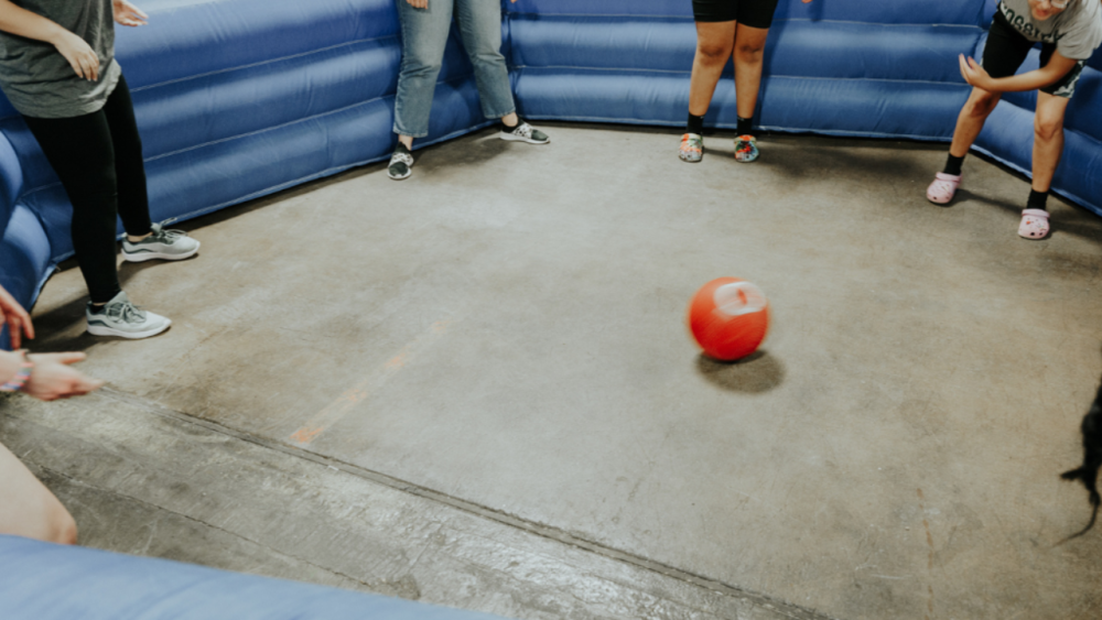 Reclaimed Ally/Friendtor | VOMO