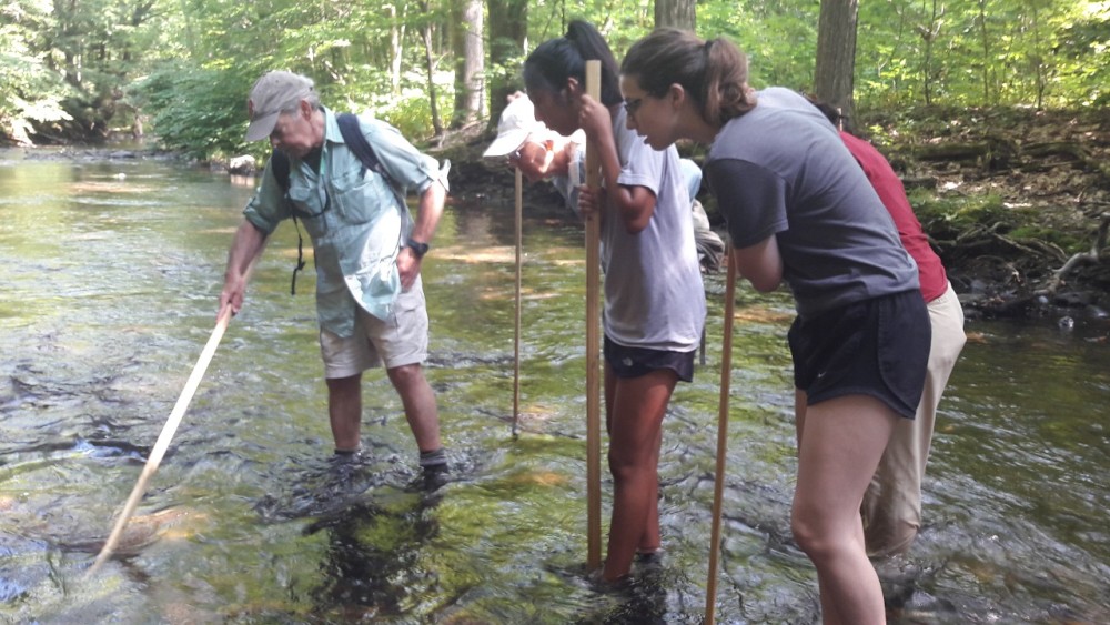 Sea Lamprey Nest Survey in Montague MA | VOMO