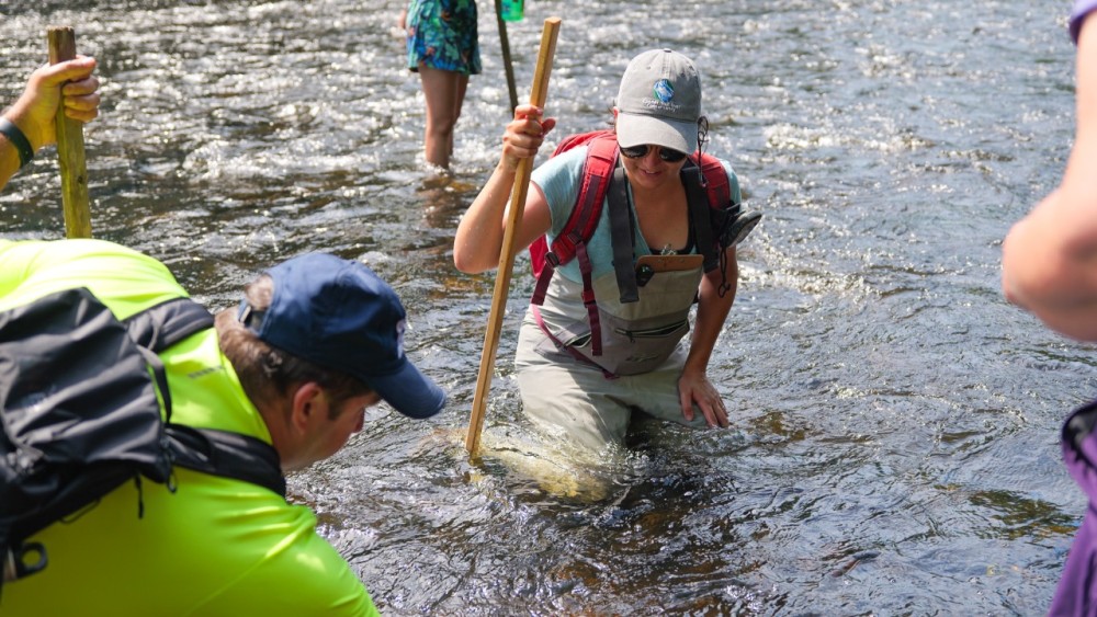 Sea Lamprey Nest Survey in Hinsdale NH | VOMO