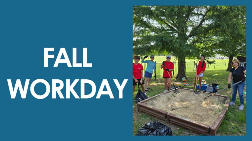 Fall Work Day | VOMO